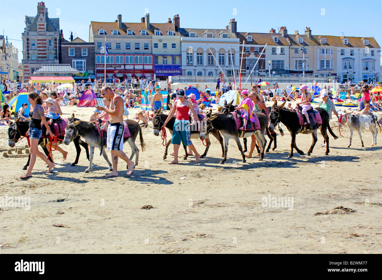 Weymouth Donkey Stock Photos & Weymouth Donkey Stock Images - Alamy