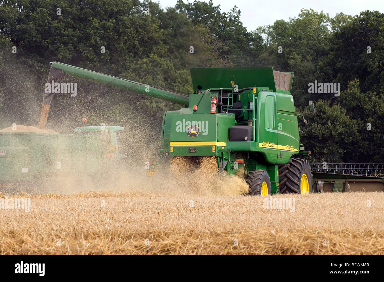 Combine Harvester and Tractor with Trailer Harvesting Wheat Stock Photo ...