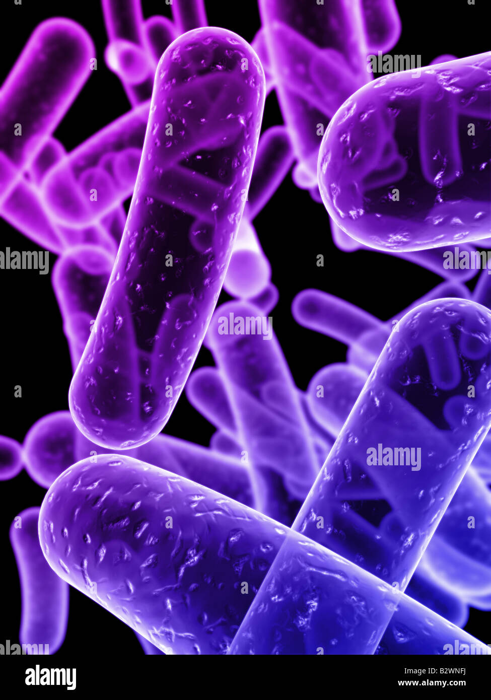 Microbes electron microscope hi-res stock photography and images - Alamy