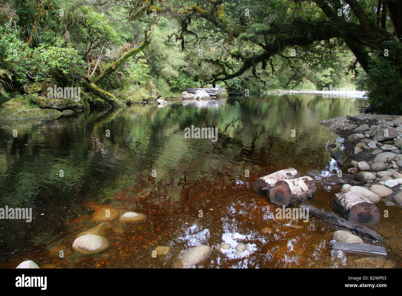Oparara River near Karamea on the wild West Coast of the South Island ...