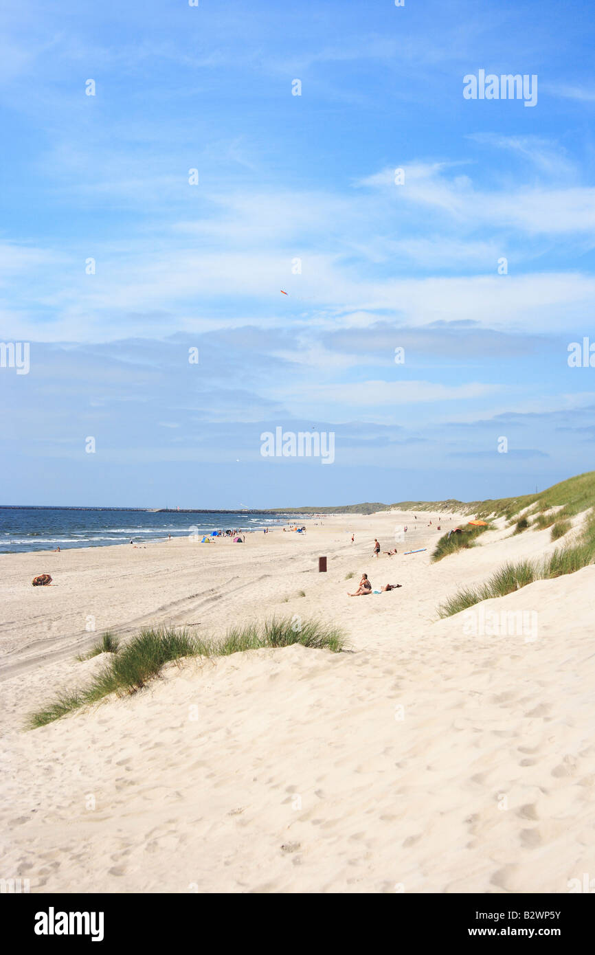 Dunes and beach in Hvide Sande, Denmark Stock Photo - Alamy