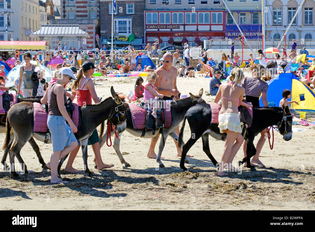 Weymouth donkey hi-res stock photography and images - Alamy