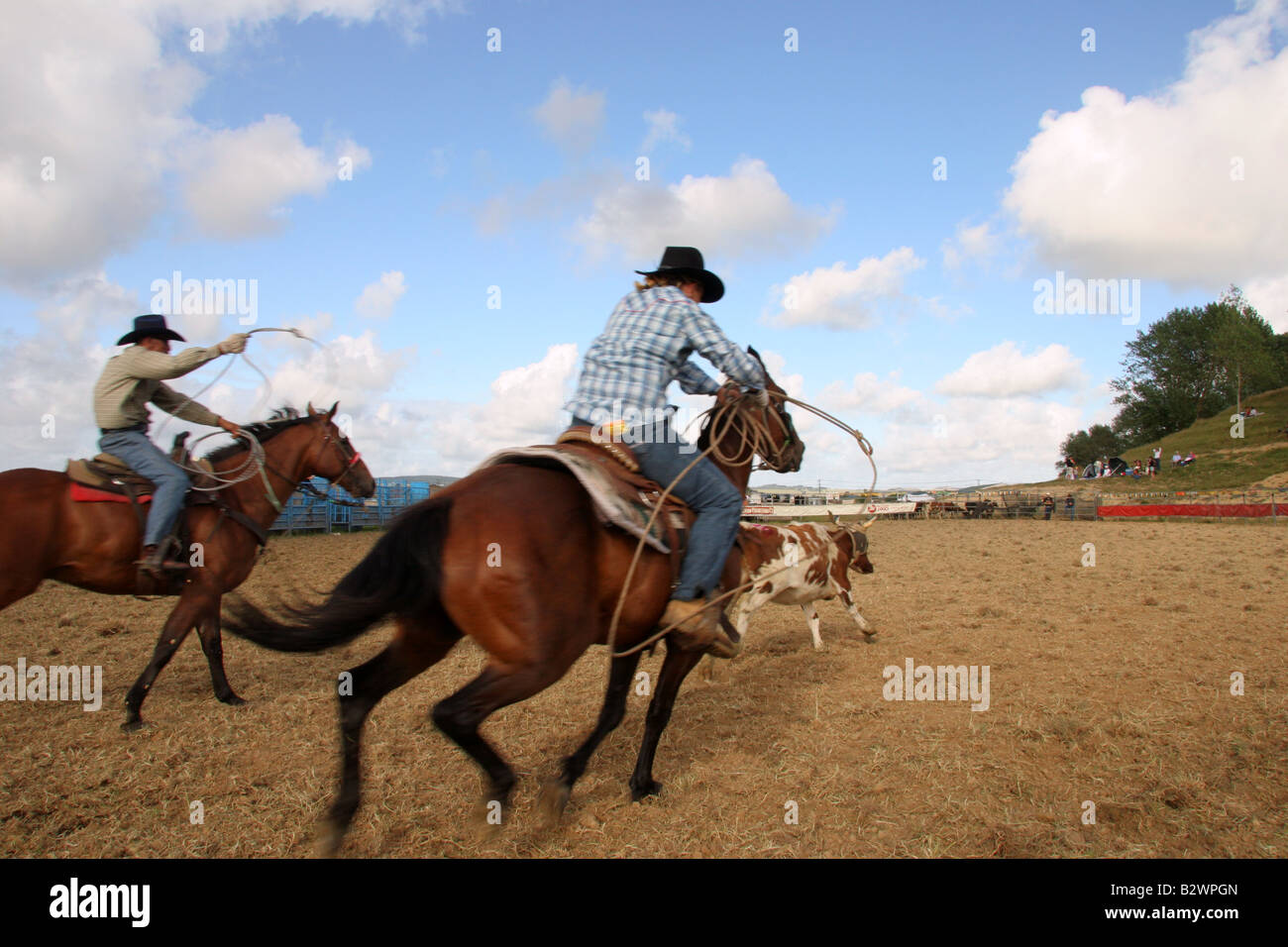 Bulldogging hi-res stock photography and images - Alamy