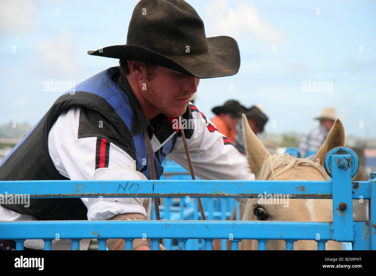 A cowboy prepares for bronc riding at a Rodeo held in Hamilton, on the ...