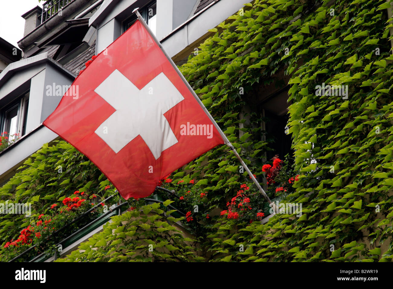 Swiss flag on the side of a building covered with a creeper and ...