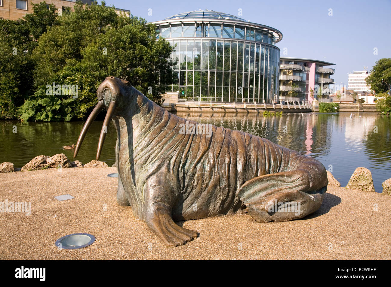 The Walrus statue in Mowbray Gardens, Sunderland Stock Photo - Alamy