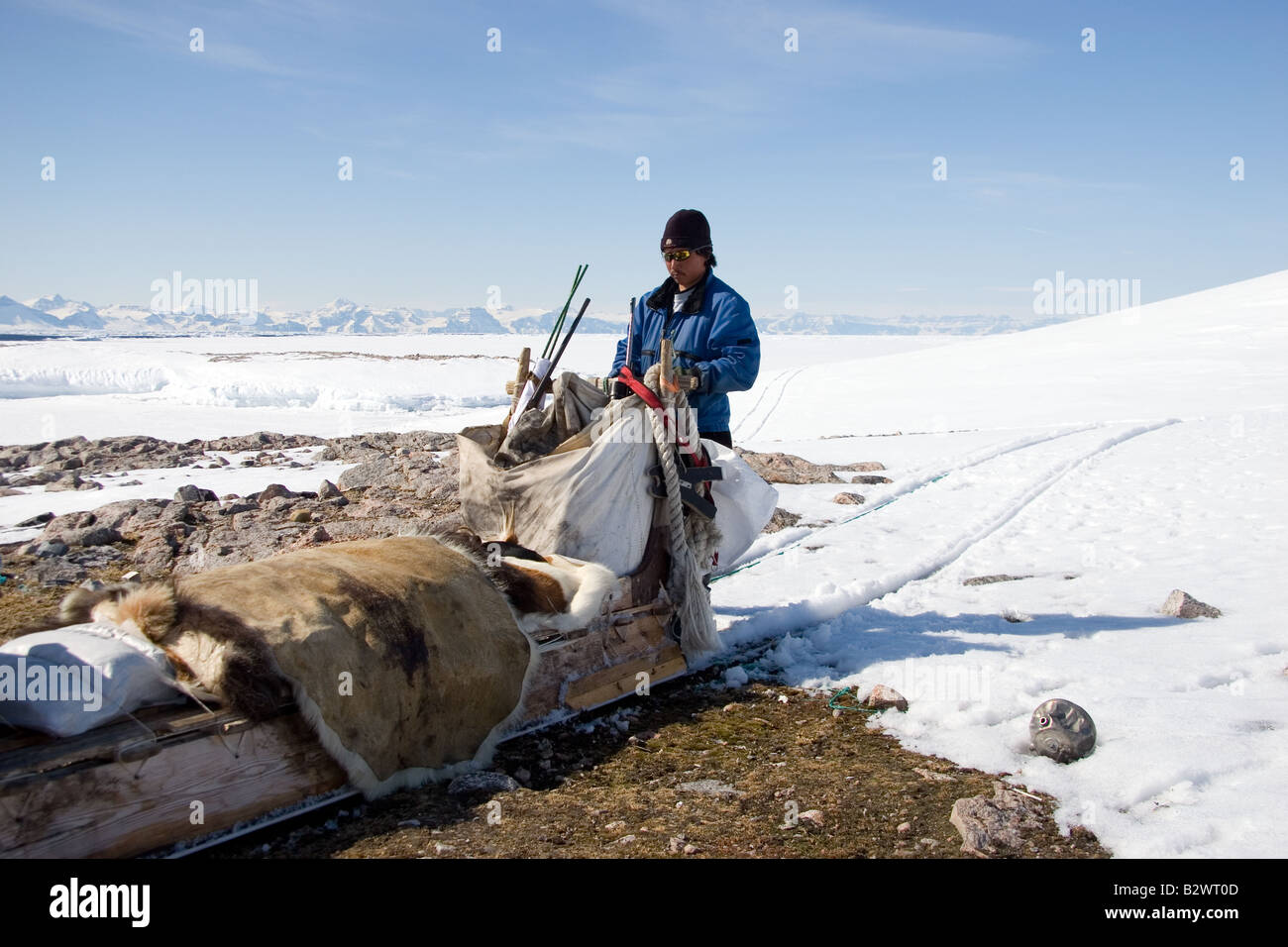 Inuit hunter unloading his sled at Cape Swainson near Ittoqqortoormiit ...