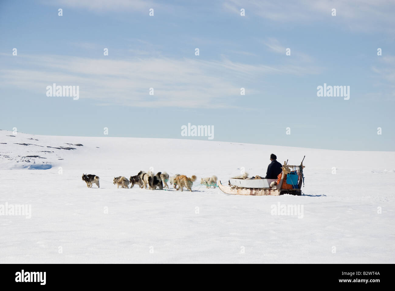 Inuit hunter mushing his husky dog sled team across the ice near ...
