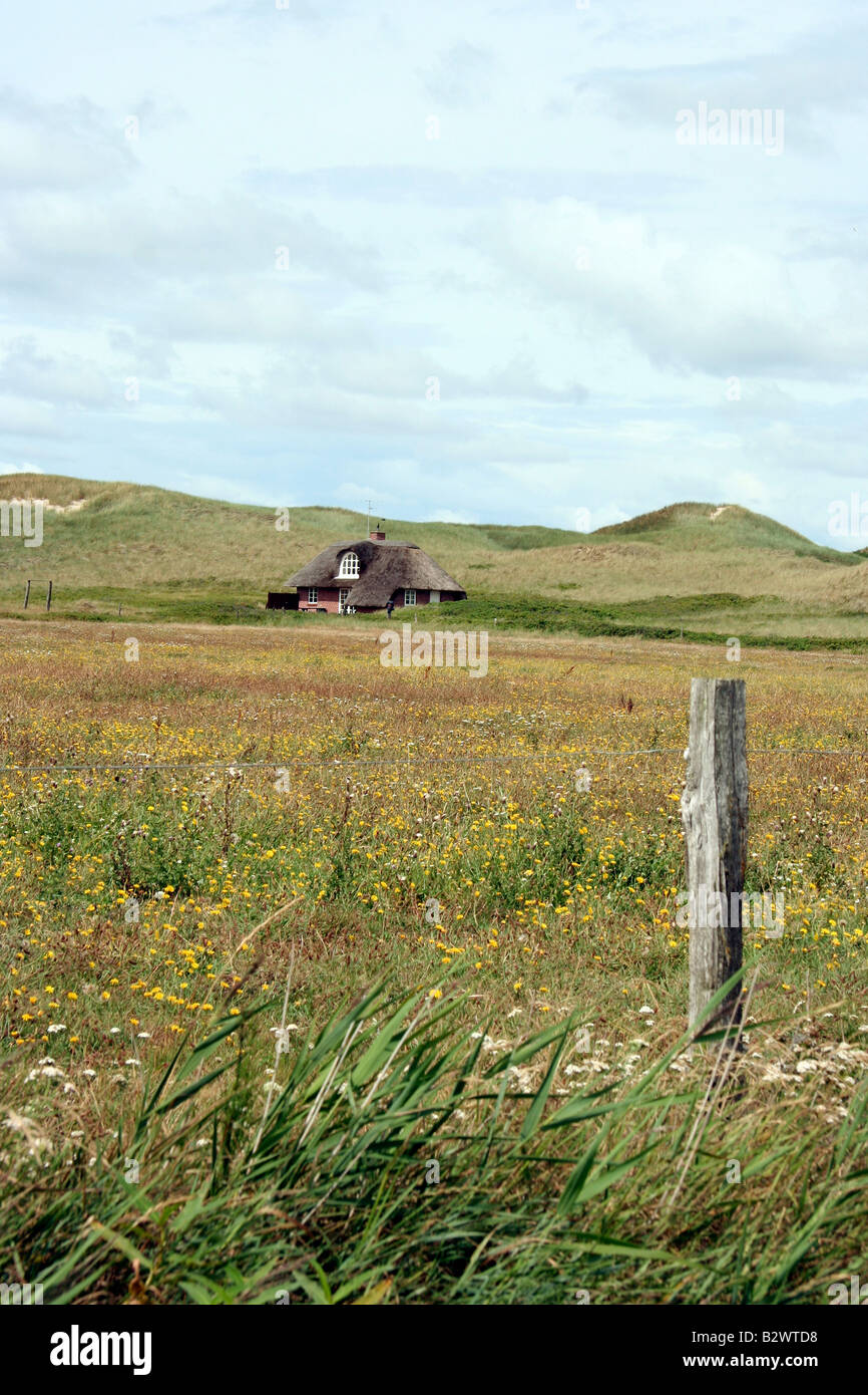 Summer cottage in a dune landscape, Hvide Sande, Denmark Stock Photo ...