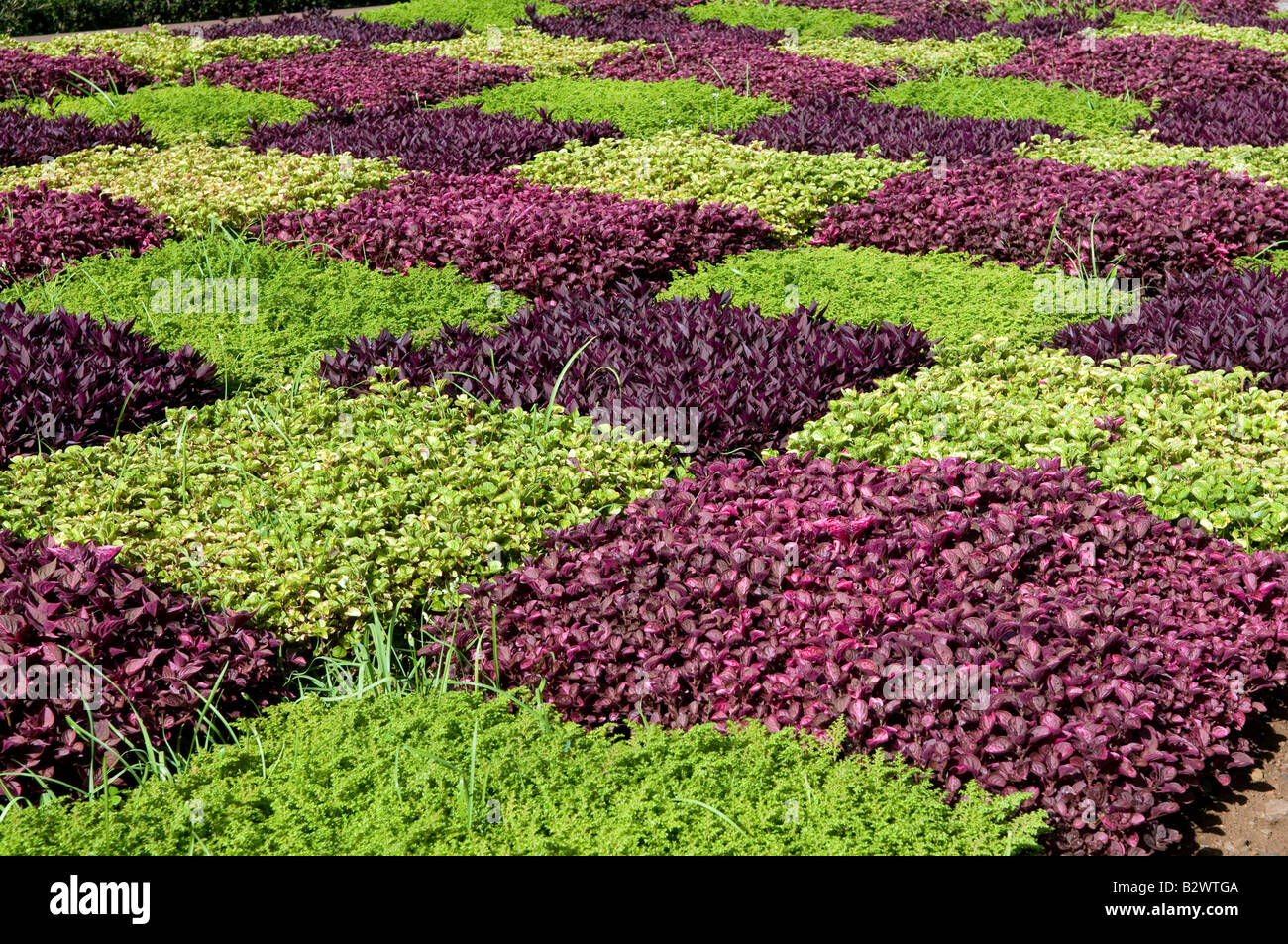 Patterned landscape garden Stock Photo - Alamy