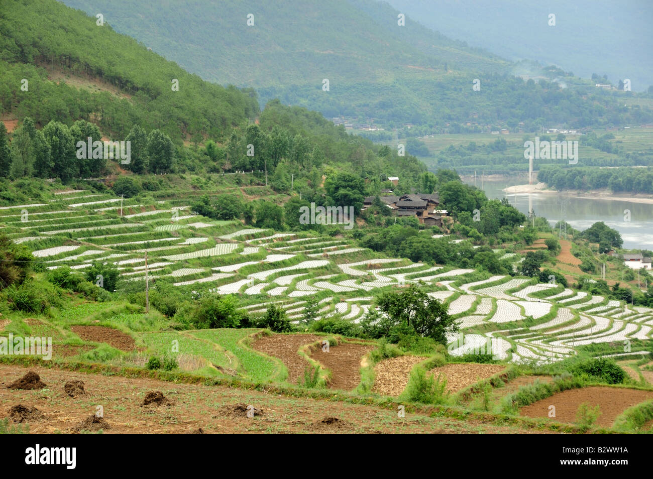 Terrace of farm land in Yunnan Province, China Stock Photo - Alamy