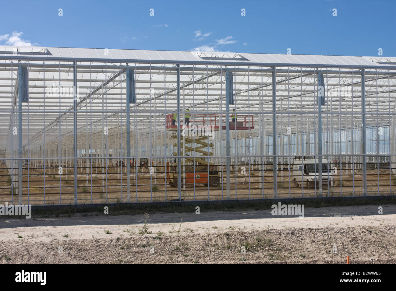 Construction Workers on a Platform Construct a large Horticultural ...