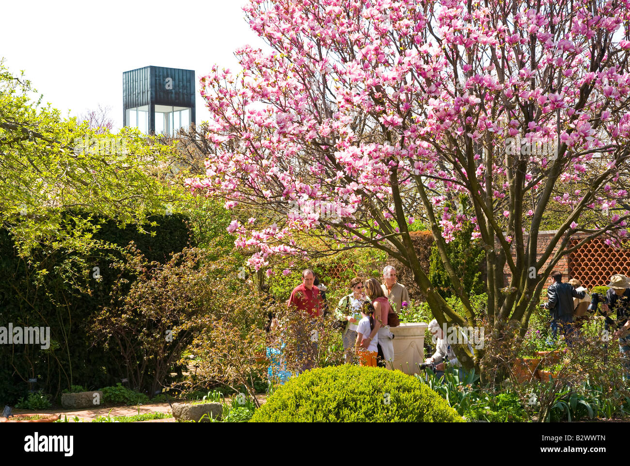 Spring tree blossoming at the Chicago Botanic Gardens Stock Photo - Alamy