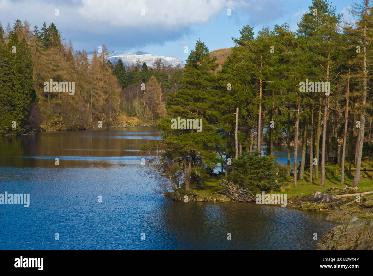 Tarn Hows in winter Stock Photo - Alamy