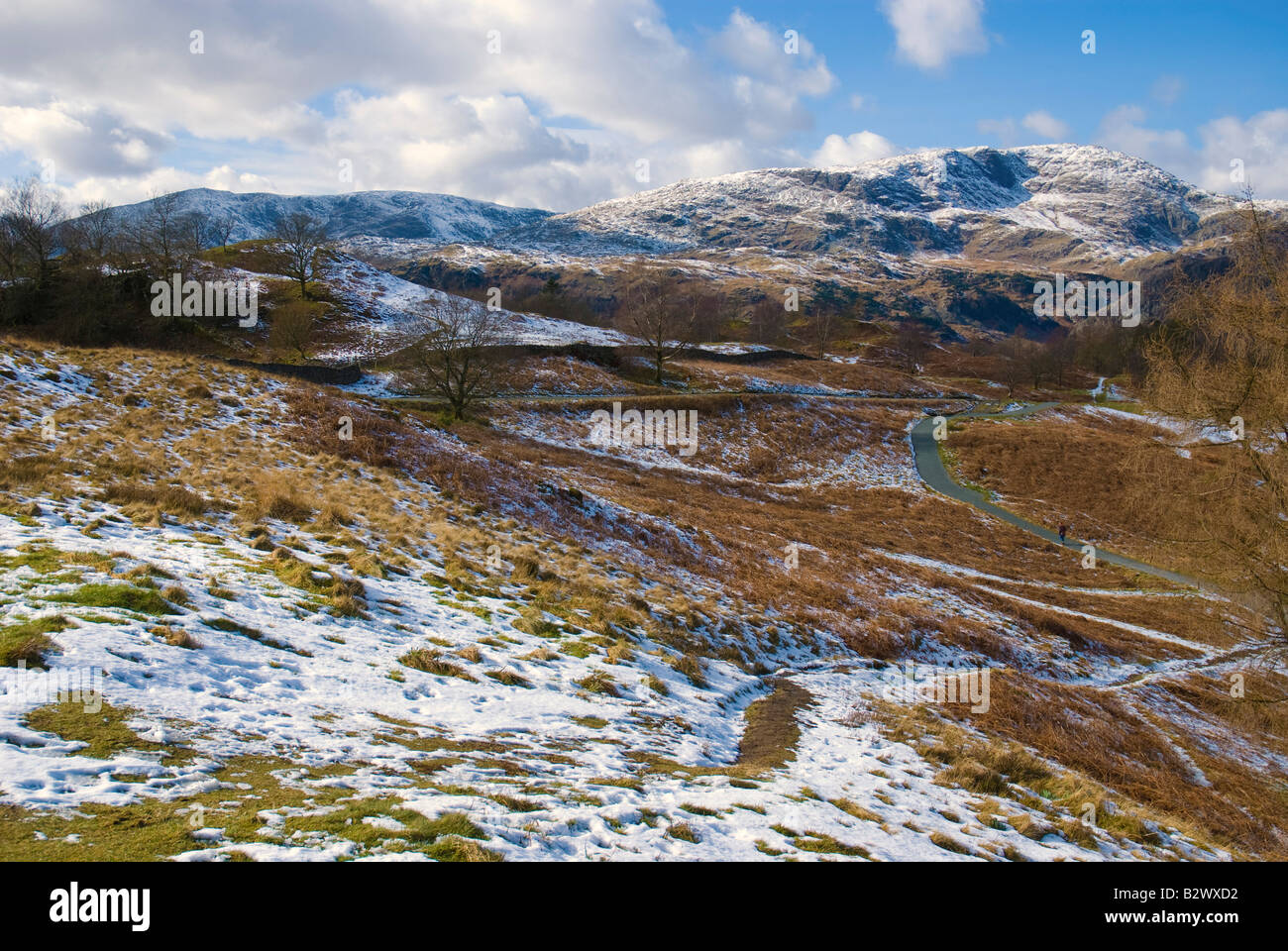Wetherlam and Coniston Old man from Tarn Hows, Lake District Stock ...