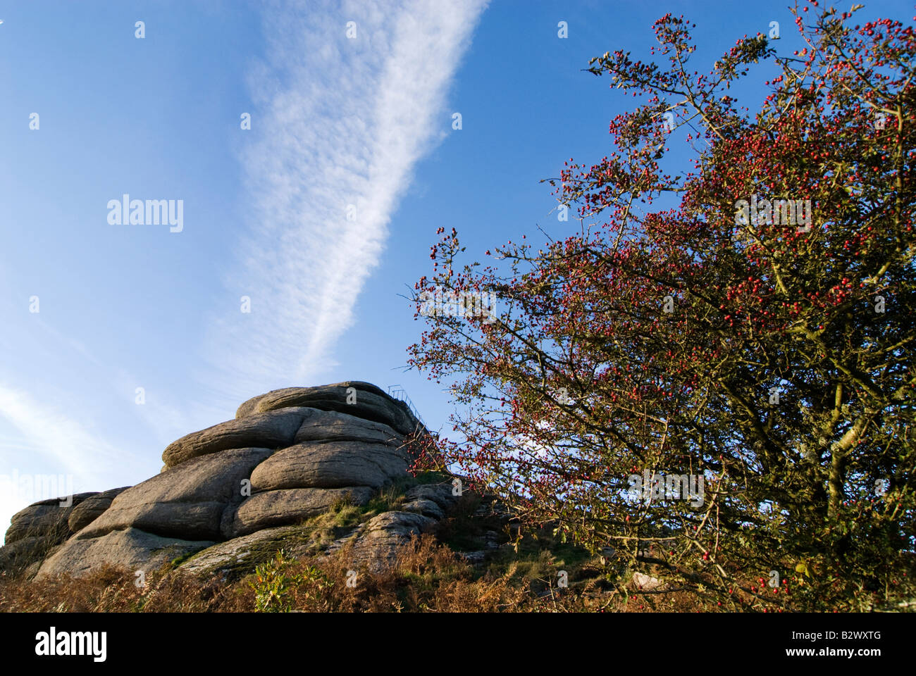 Blackingstone Rock in Devon Stock Photo - Alamy