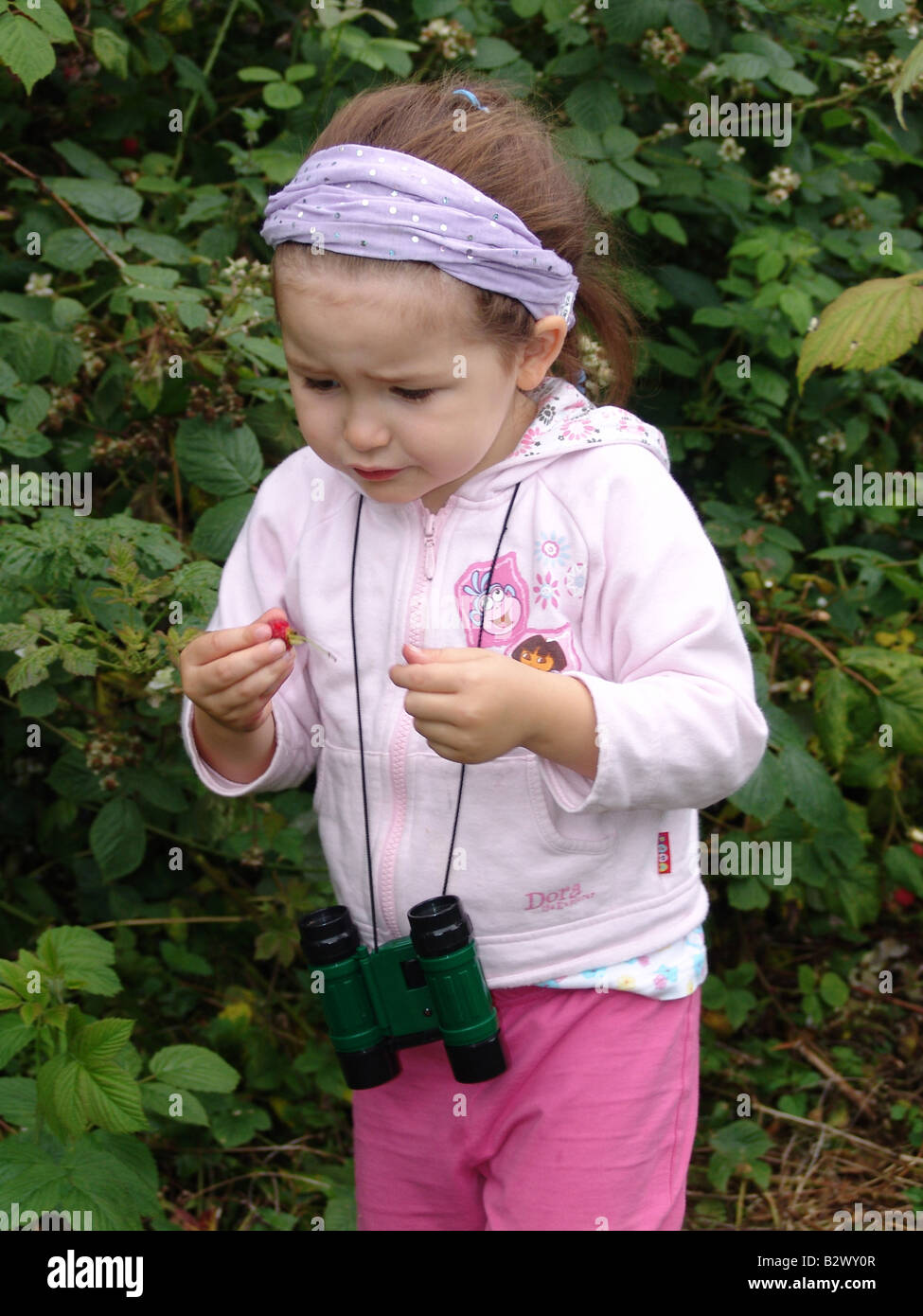 A young girl eating raspberries near Bridlington, England Stock Photo ...