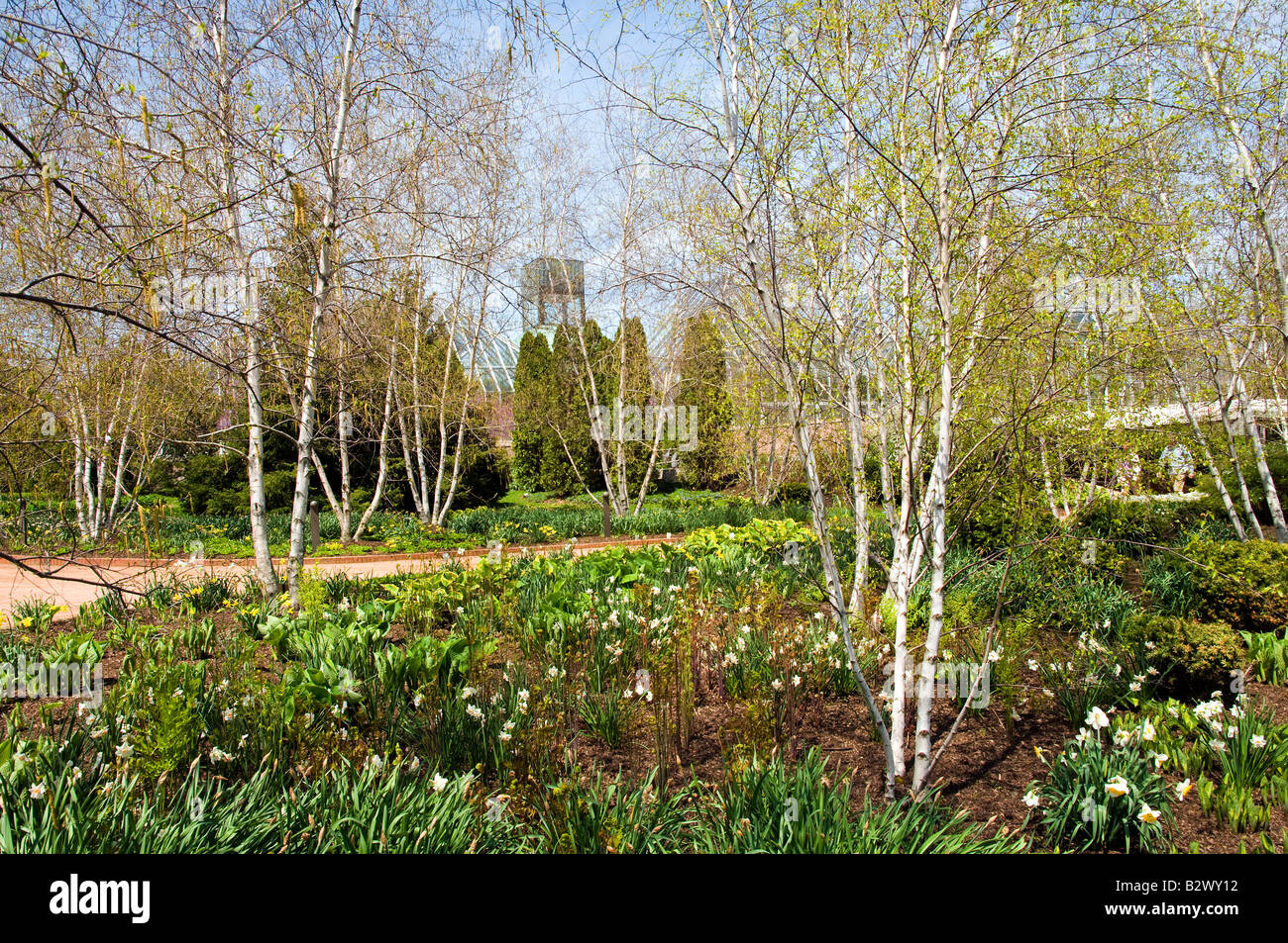 Chicago plants hi-res stock photography and images - Alamy