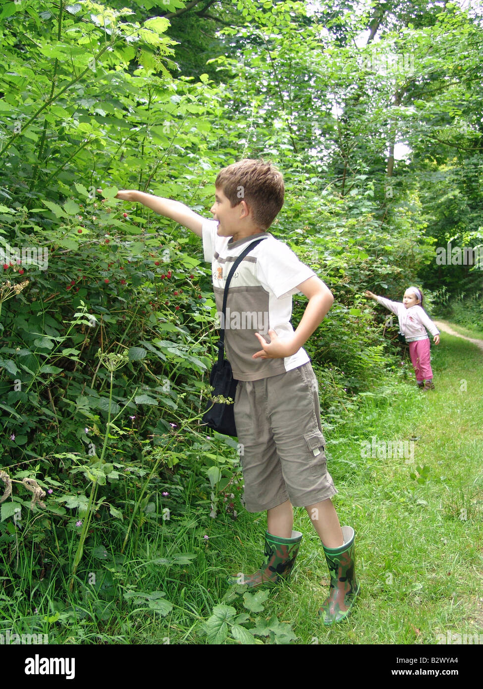 A boy and a gilittle girl Picking Raspberries near Bridlington, England ...