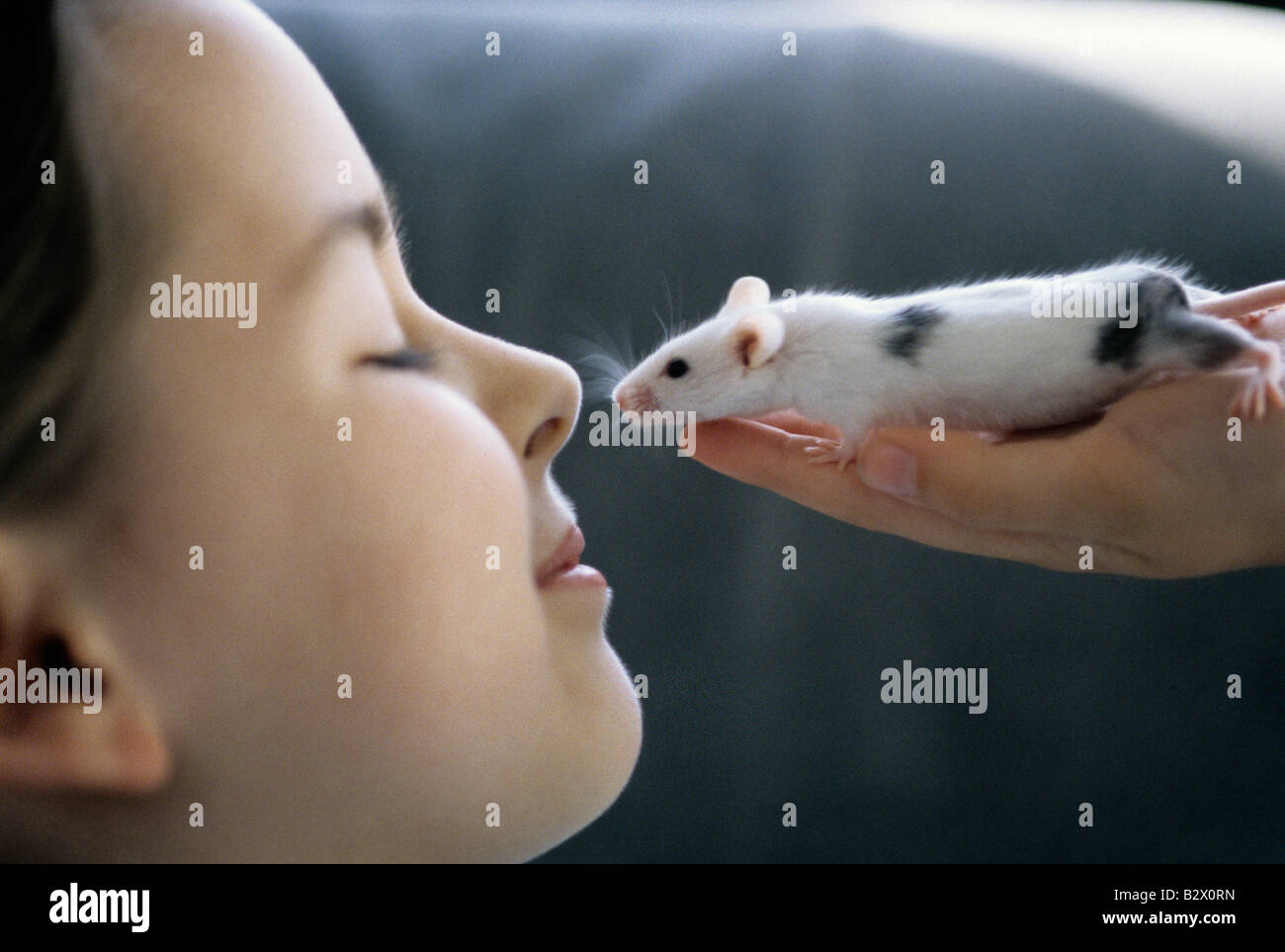 Young girl 9 years old holding a pet mouse in her hands Marysville ...