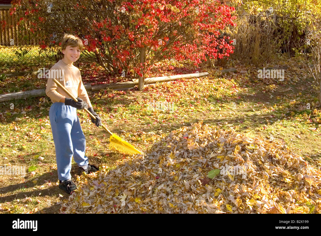 Boy raking leaves hi-res stock photography and images - Alamy