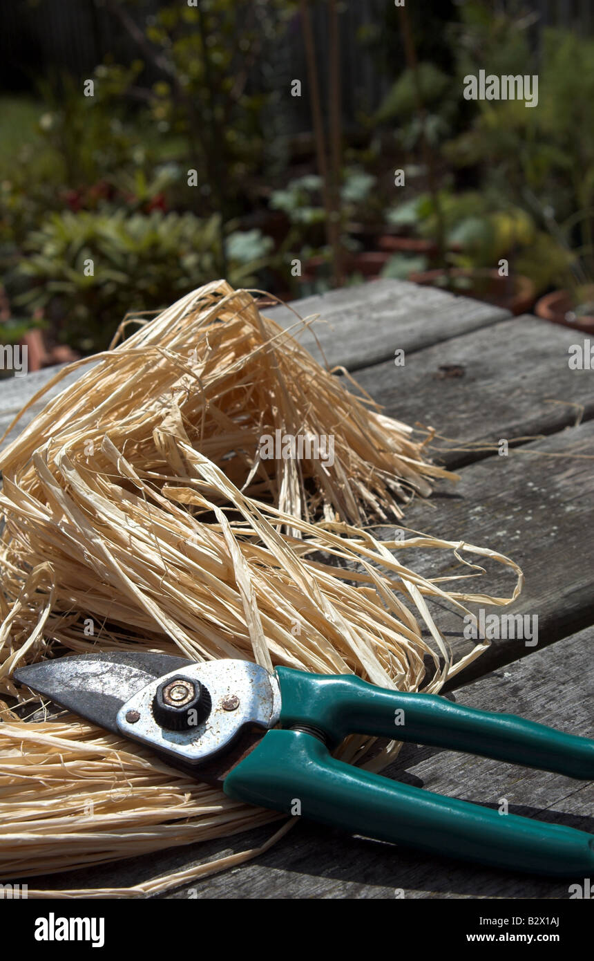 Raffia garden hi-res stock photography and images - Alamy