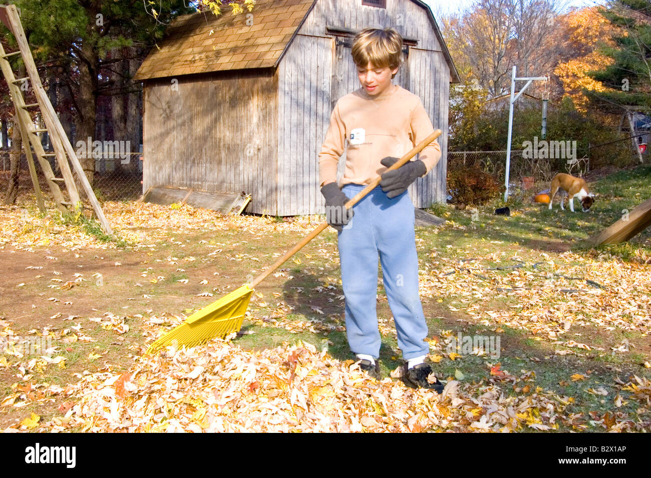 Boy raking leaves hi-res stock photography and images - Alamy