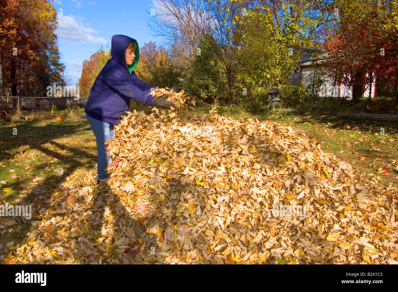 A boy building a leaf pile in his backyard Stock Photo - Alamy