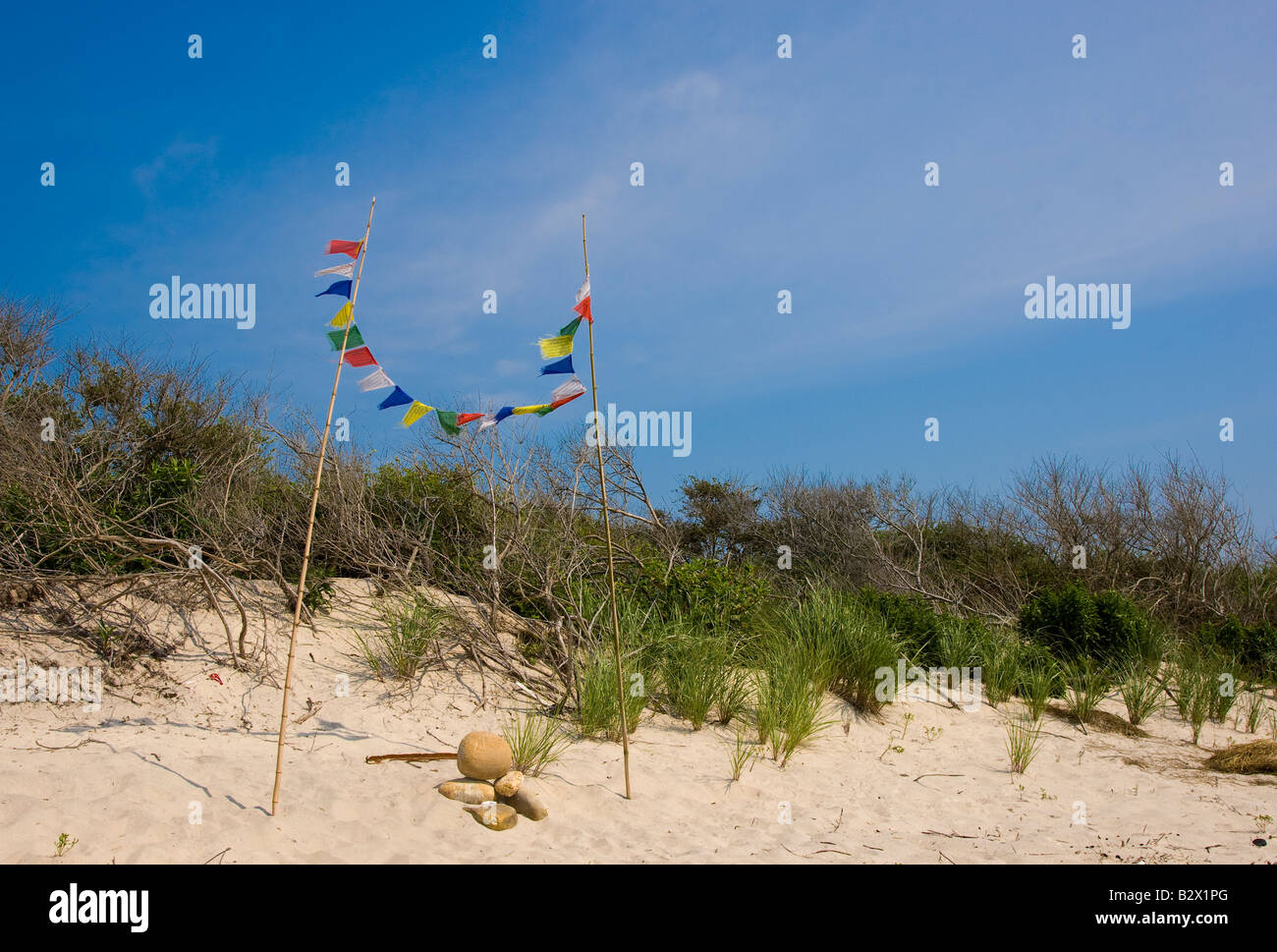 Flags on the beach on a windy day Stock Photo - Alamy