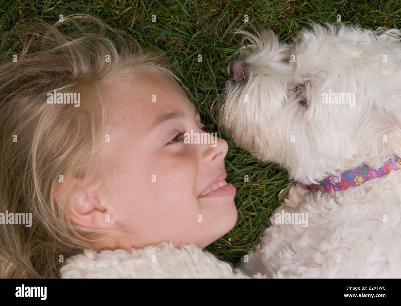 Young girl and her pet dog Stock Photo - Alamy