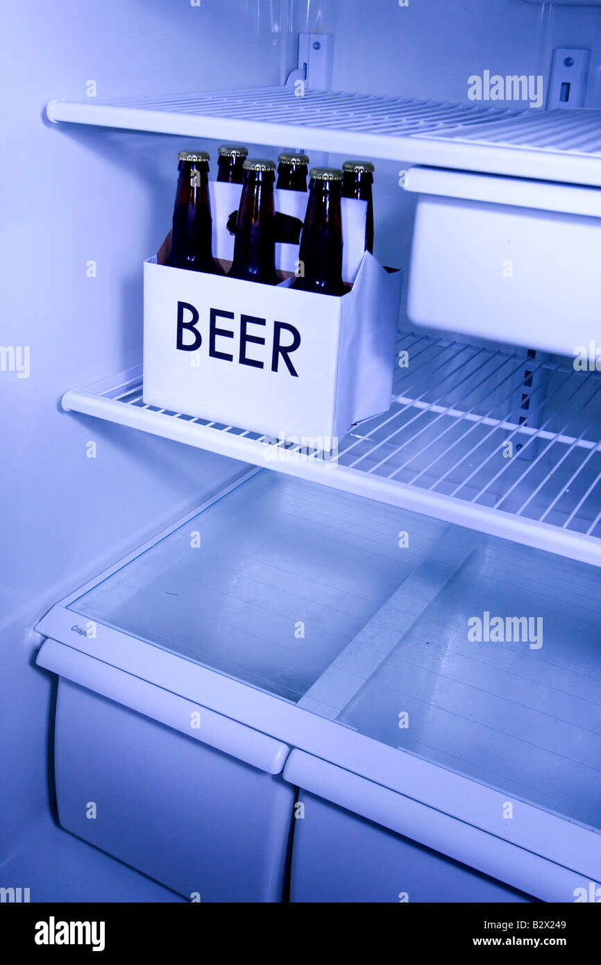 A generic six-pack of beer is the only thing in the fridge Stock Photo ...