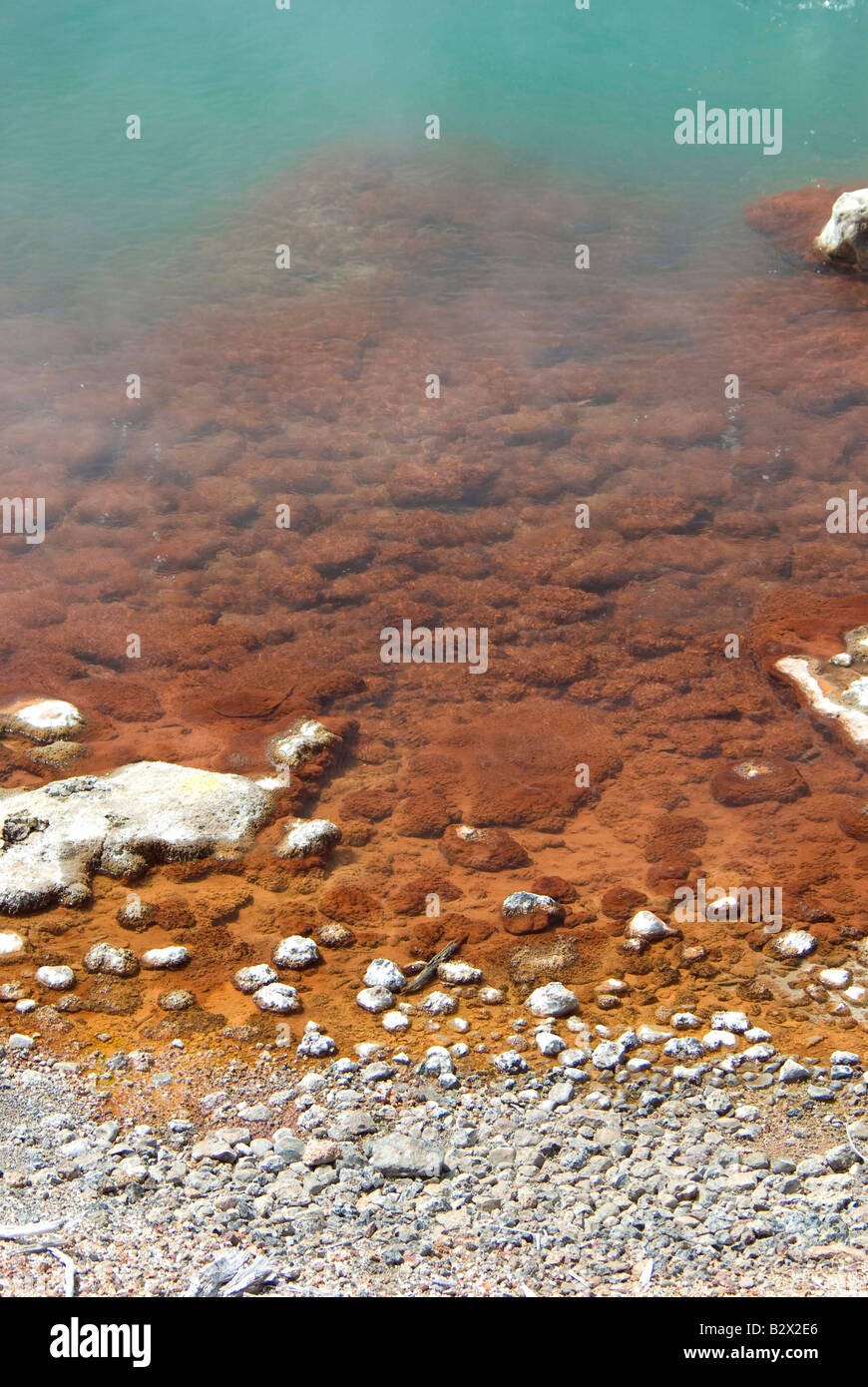 Microbial mat hot spring hi-res stock photography and images - Alamy