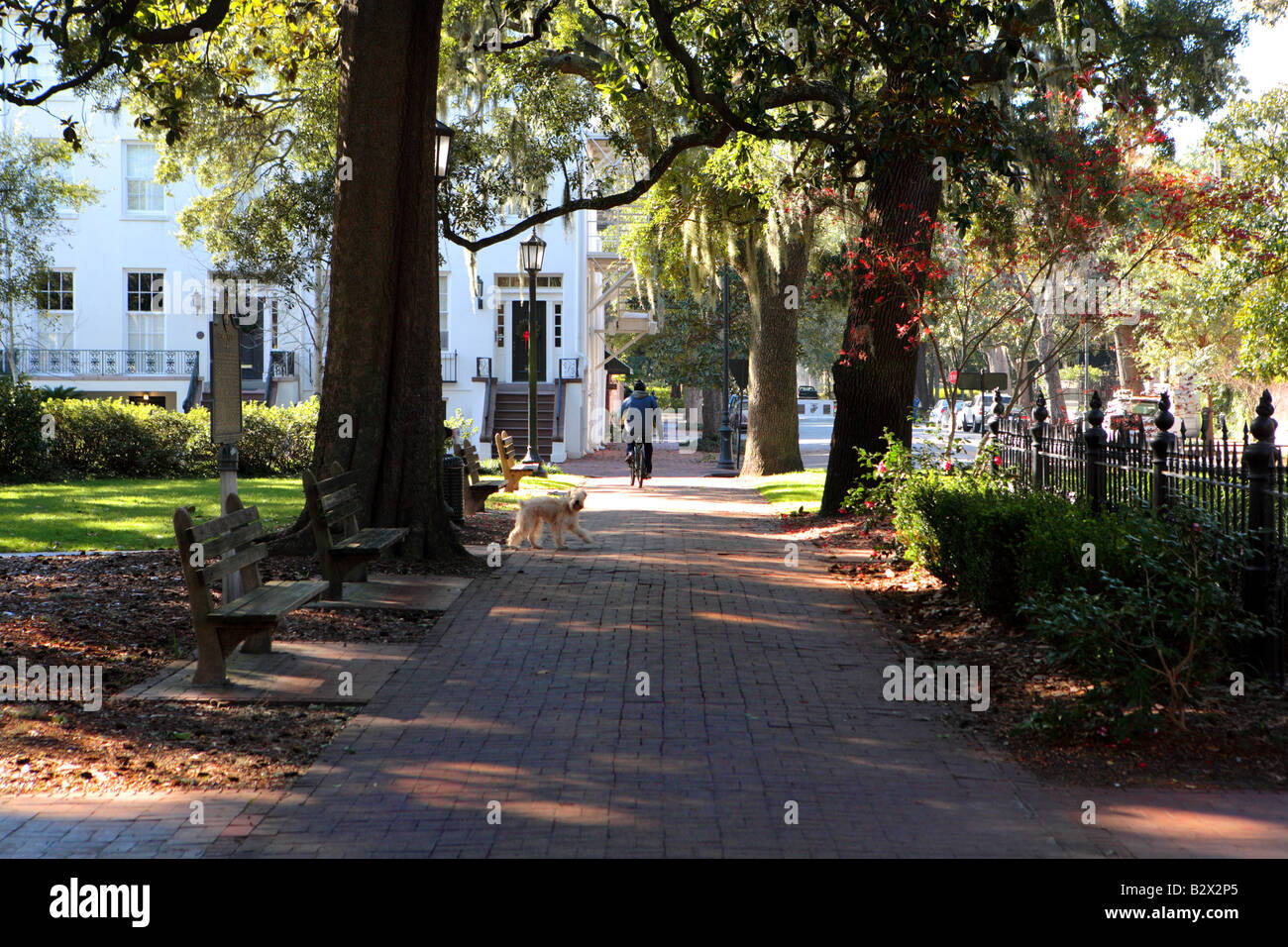 Savannah town square georgia hi-res stock photography and images - Alamy