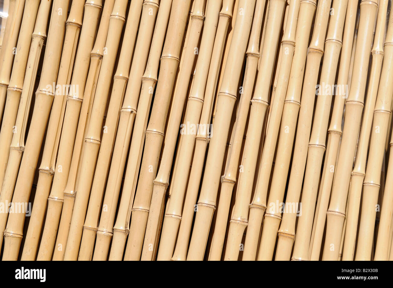 Full frame filled with leaning pattern of bamboo Stock Photo - Alamy