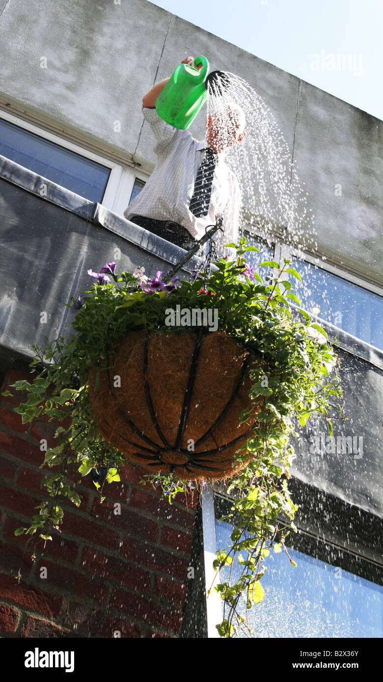 Watering the plants, from above, not rain water, hanging baskets ...