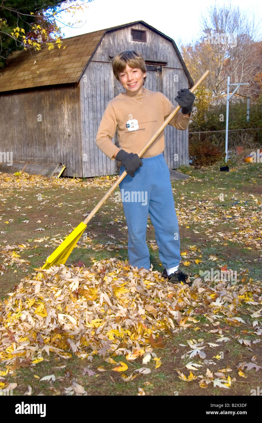 Boy raking leaves in yard hi-res stock photography and images - Alamy