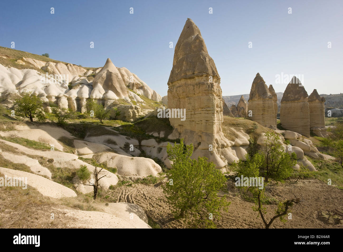 Phallic pillars known as Fairy Chimneys in the valley known as Love ...