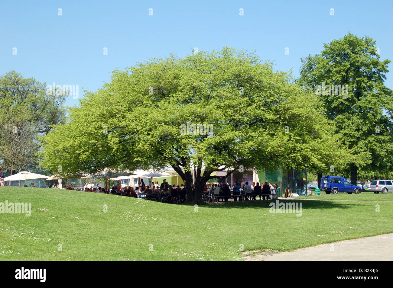 Under the shadow of a tree Stock Photo - Alamy