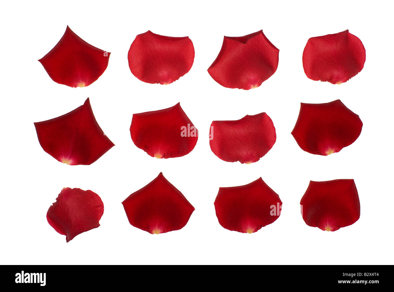 Red flower clipart Cut Out Stock Images & Pictures - Alamy
