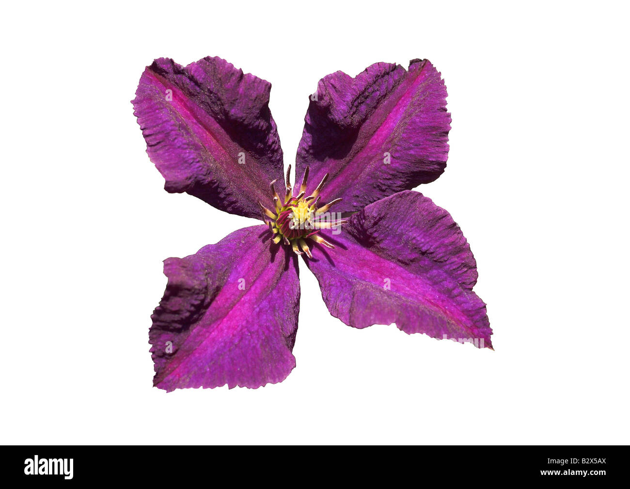 Light cut out Cut Out Stock Images & Pictures - Alamy