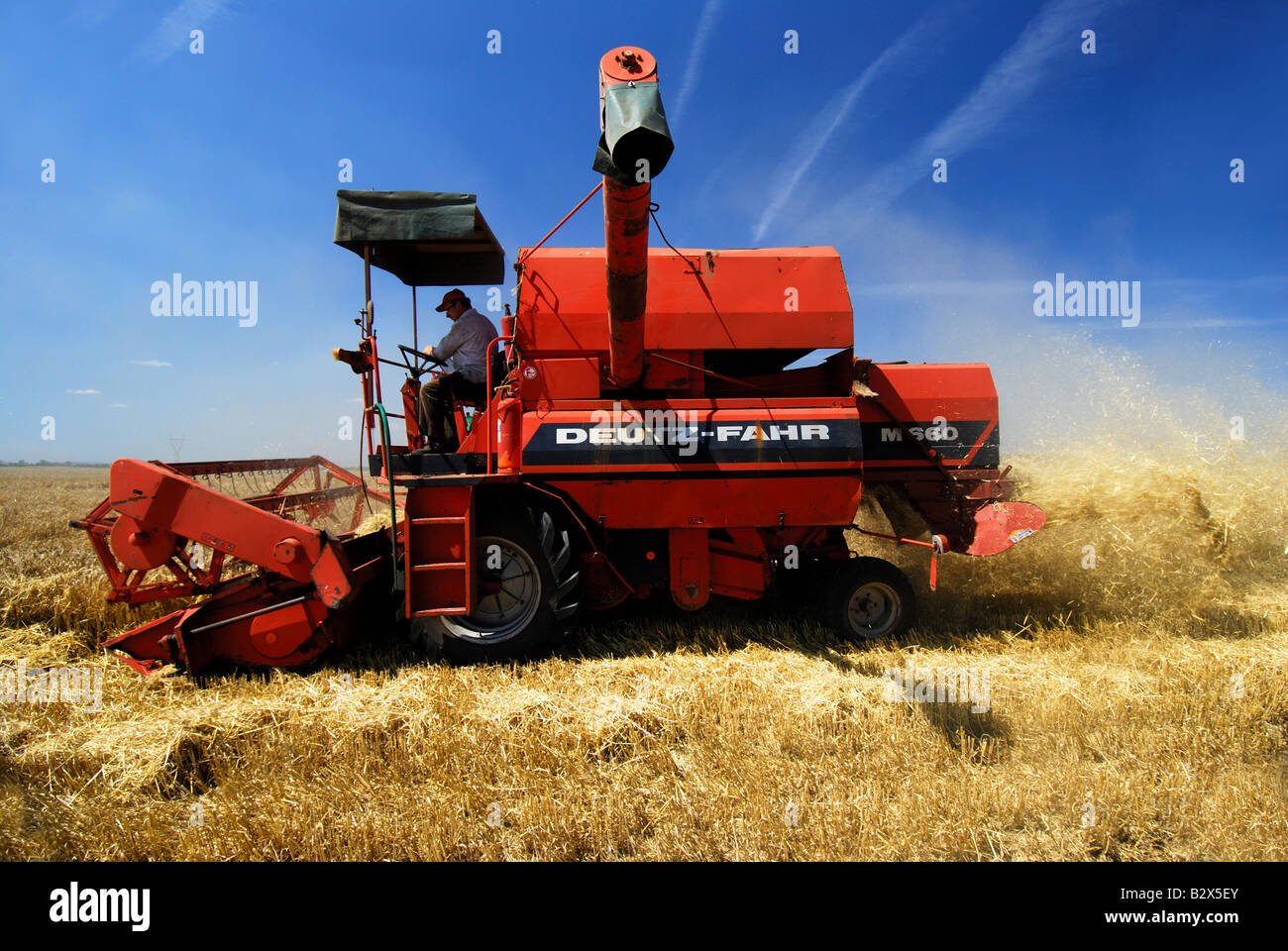 Combine harvesting corn agriculture concept hi-res stock photography ...