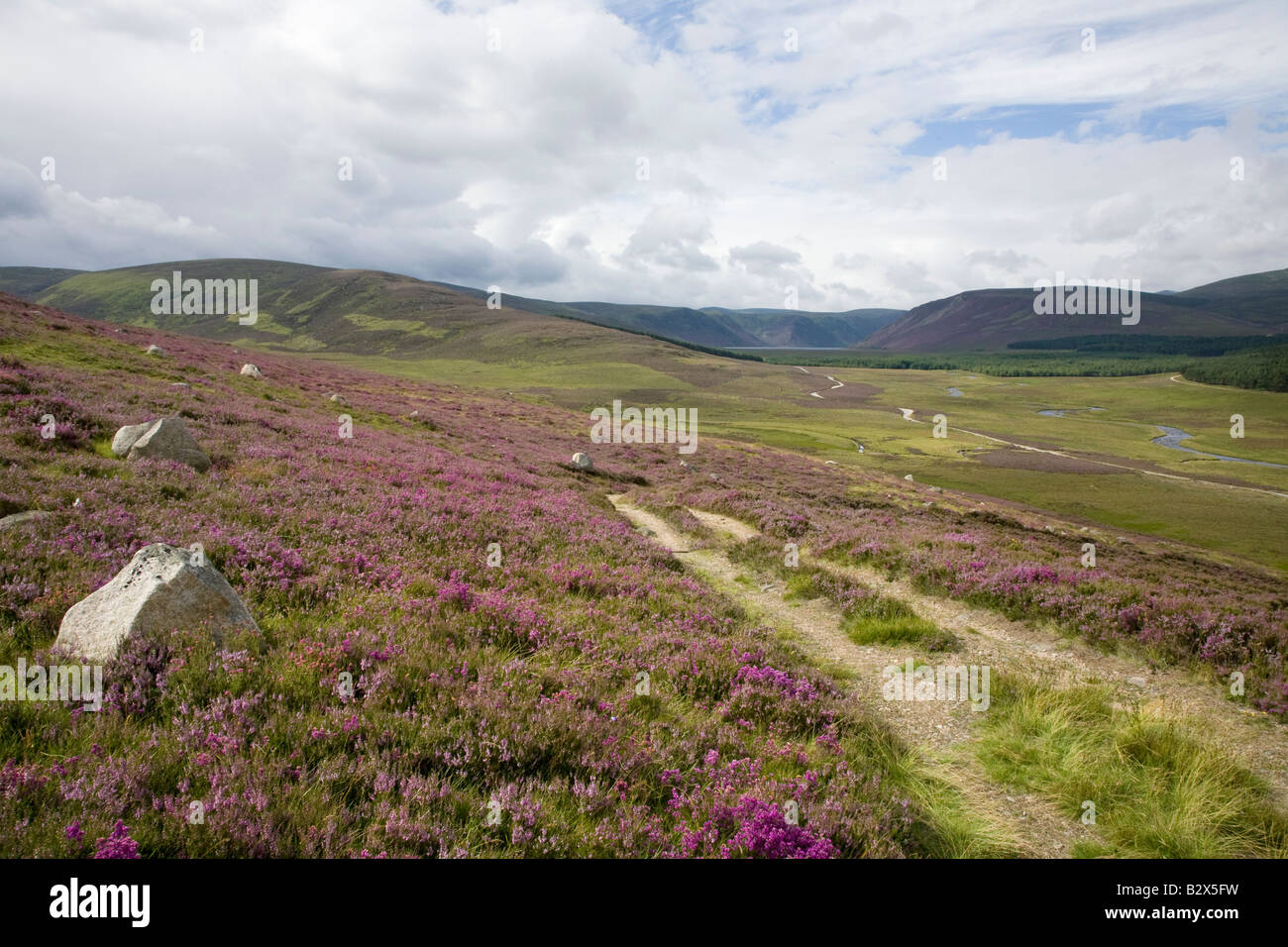 Balmoral Estate, Spittal of Glen Muick, Lochnagar moorland, Ballater ...