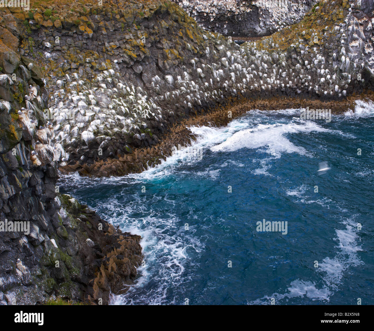 A view of the cliffs at Arnarstapi on the Snaefellsnes peninsula of ...