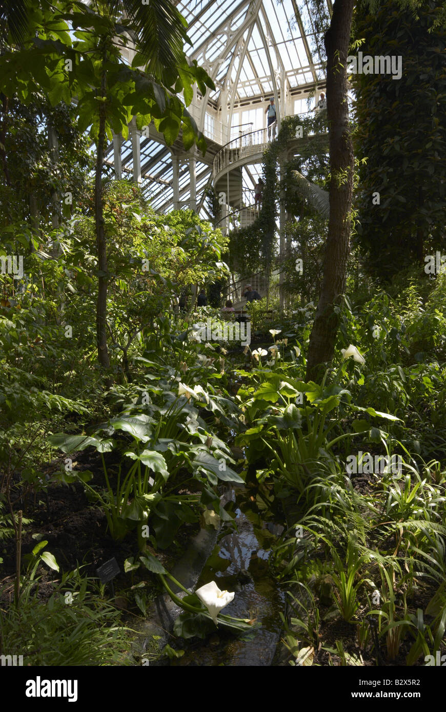 Temperate House Kew Gardens Stock Photo - Alamy