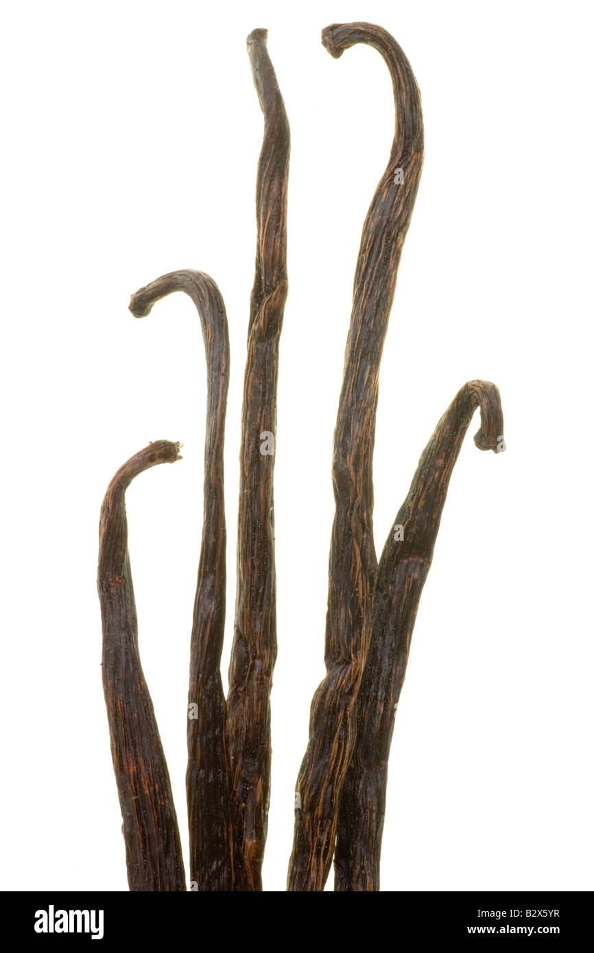 Vanilla pods from Madagascar Stock Photo - Alamy