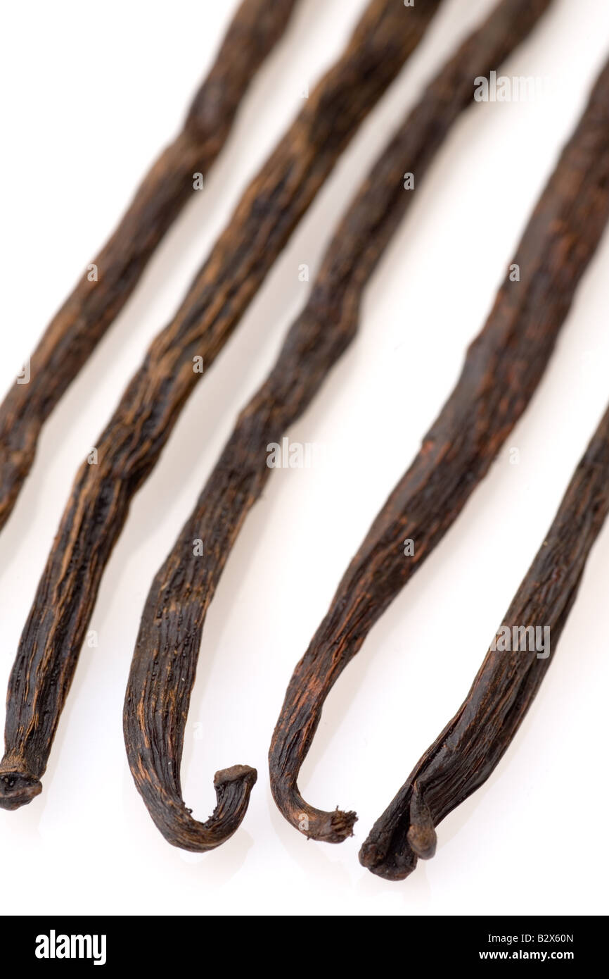 Vanilla pods from Madagascar Stock Photo - Alamy