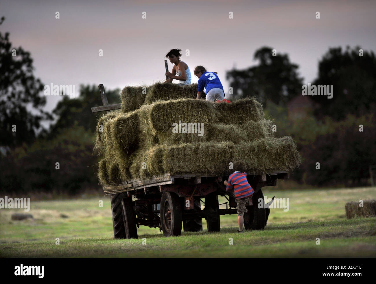 A FARMING FAMILY COLLECTING HAY AT DUSK IN THE TRADITIONAL STYLE IN ...