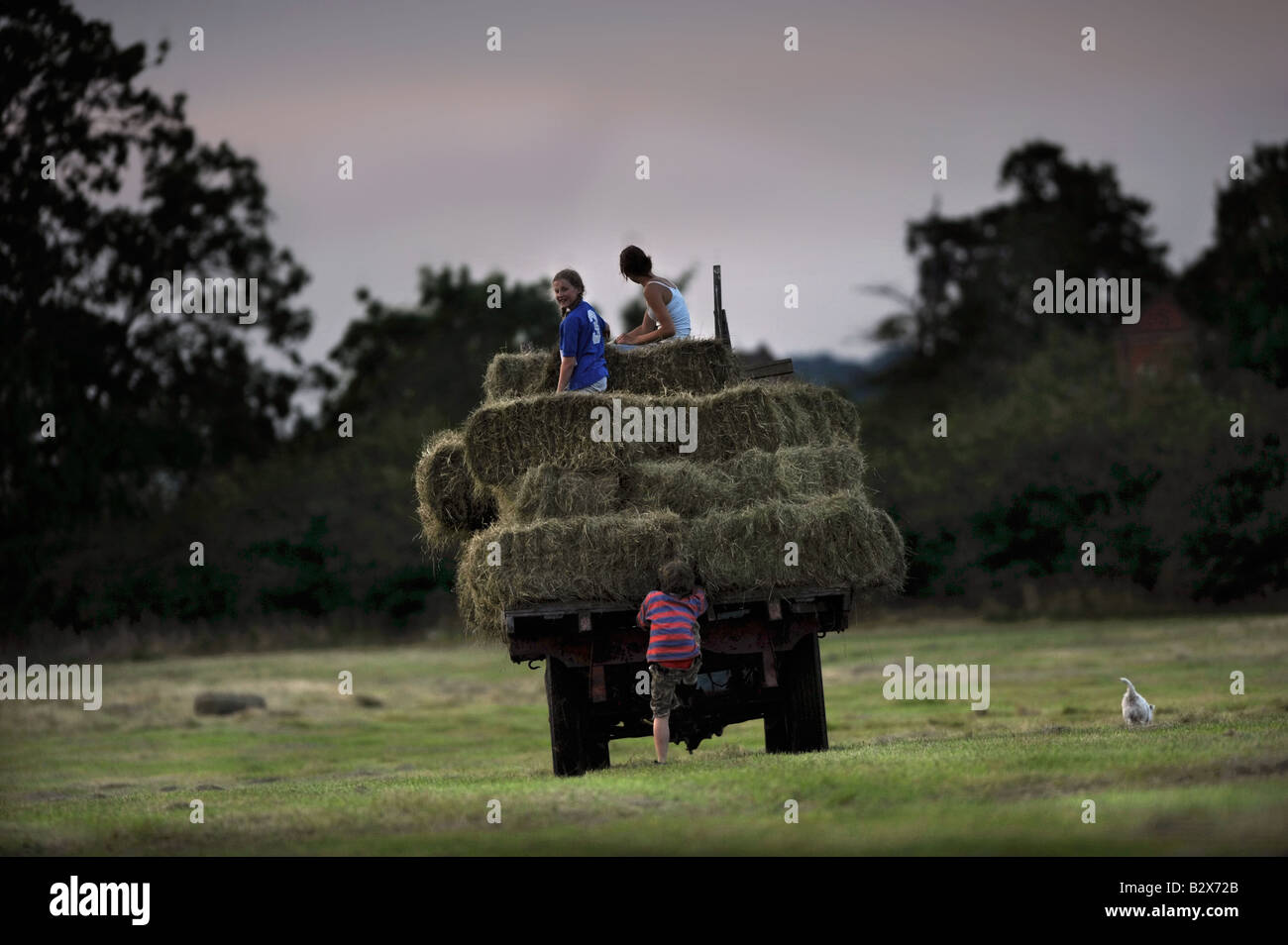A FARMING FAMILY COLLECTING HAY AT DUSK IN THE TRADITIONAL STYLE IN ...