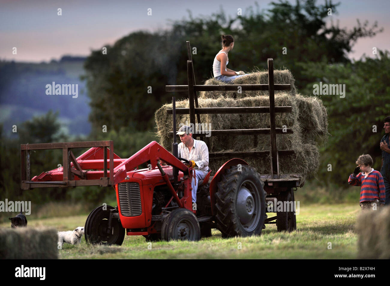 A FARMING FAMILY COLLECTING HAY IN THE TRADITIONAL STYLE IN ...
