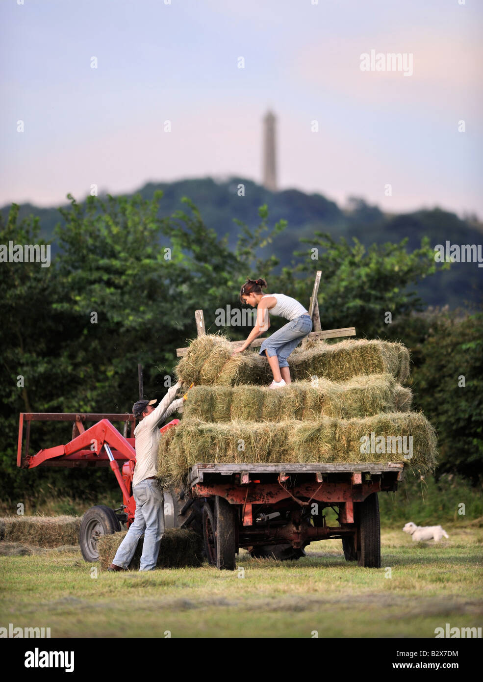 A FARMING FAMILY COLLECTING HAY IN THE TRADITIONAL STYLE IN ...